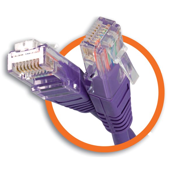 TAS242-EW de Rayleigh Instruments disponible chez Inelmatec